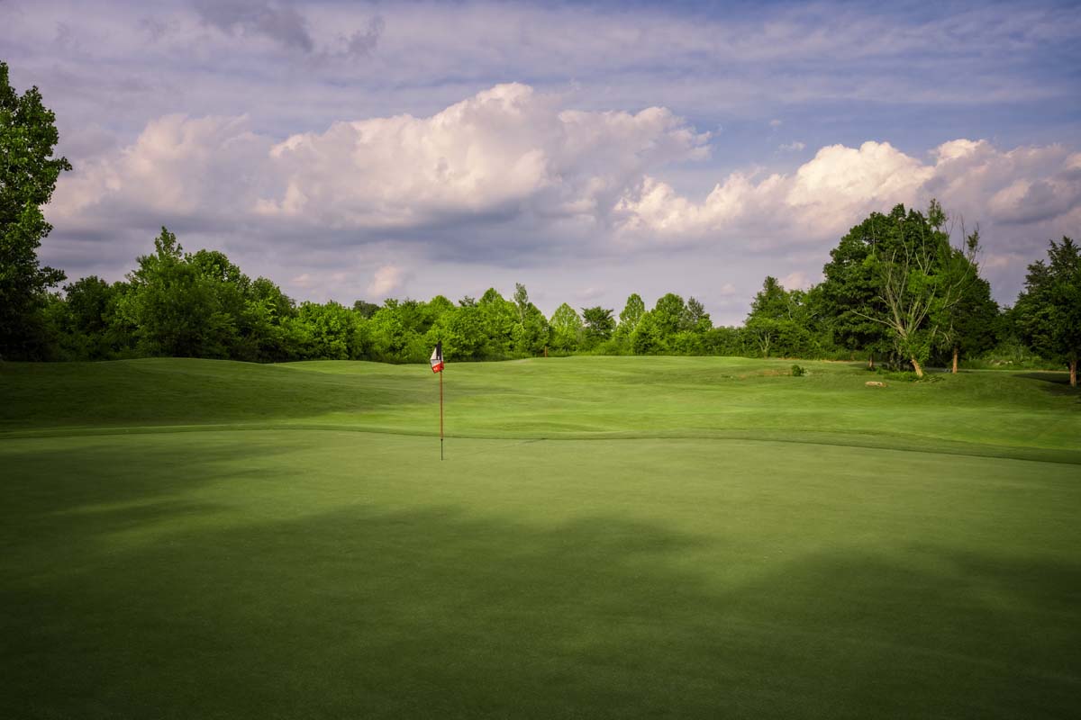 Photo Gallery - Towhee Club