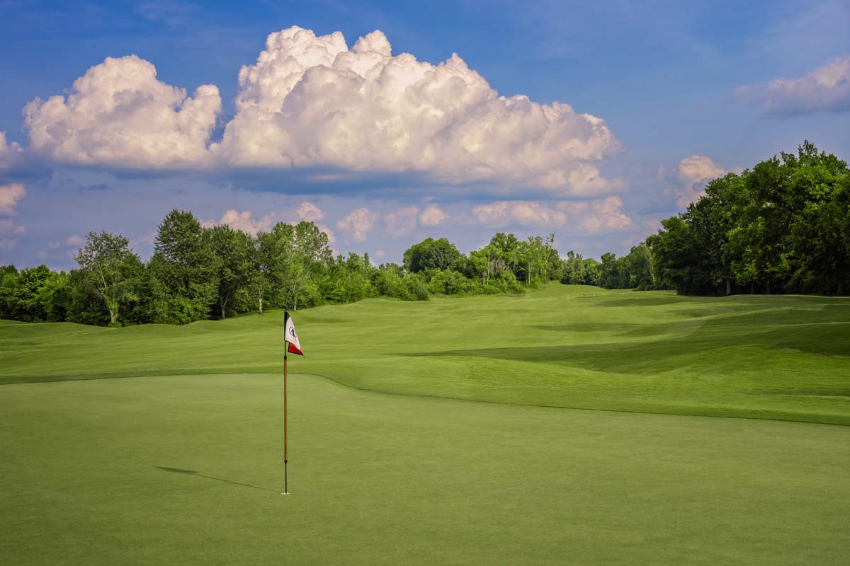 Photo Gallery - Towhee Club