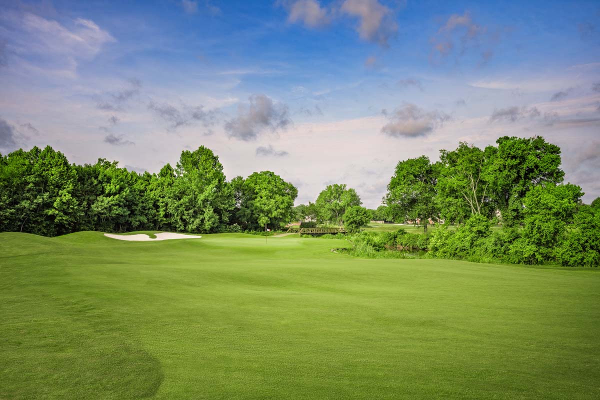 Photo Gallery - Towhee Club