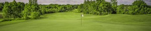 Golf Events & Outings | Host with Towhee Club in Spring Hill